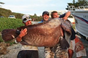 Howe cod raise the bar - Fishing World Australia