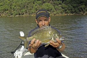 Squidgy Pro range with S-Factor - Fishing World Australia