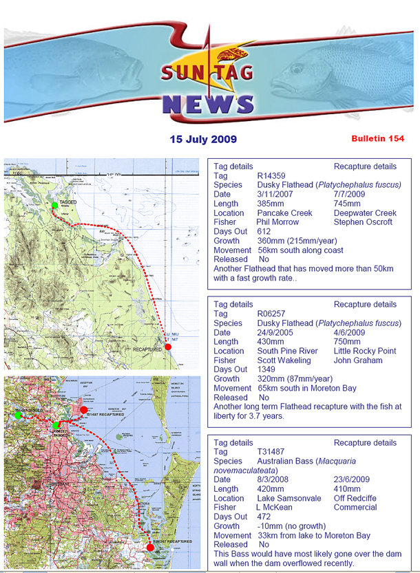 Tagged fish on the move - Fishing World Australia