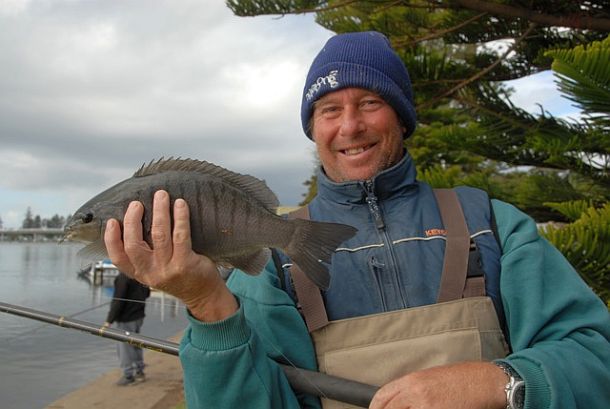 VIDEO: How To - Catch Luderick (part 1) - Fishing World Australia