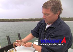 VIDEO: How To Series 2 - Catching & cleaning squid - Fishing World ...