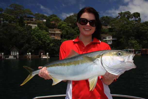 Lauren lures Harbour king - Fishing World Australia