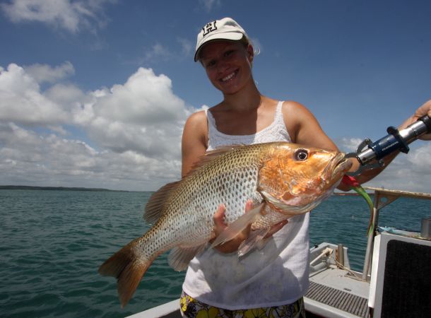 Fish Facts: Golden snapper survival - Fishing World Australia