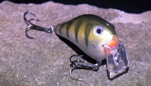 VIDEO: How to use - Rapala DT Fat - Fishing World Australia