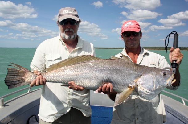 Fish Facts: Black jewfish - Fishing World Australia