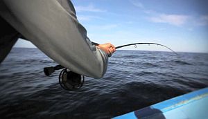 VIDEO: Trailer - Geofish Mexico - Fishing World Australia