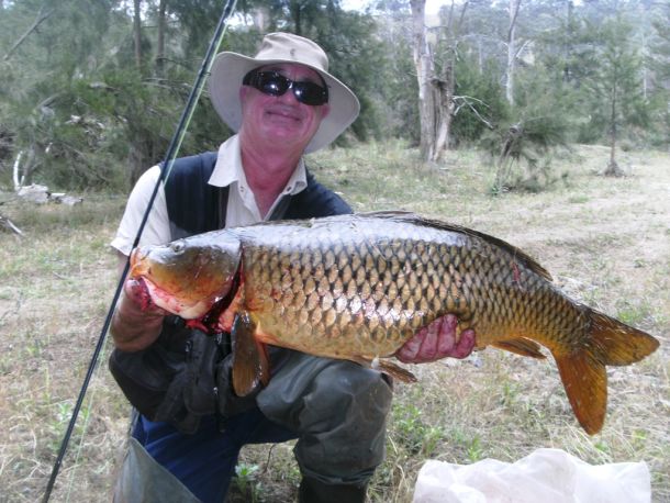 Blitz events account for tonne of carp - Fishing World Australia