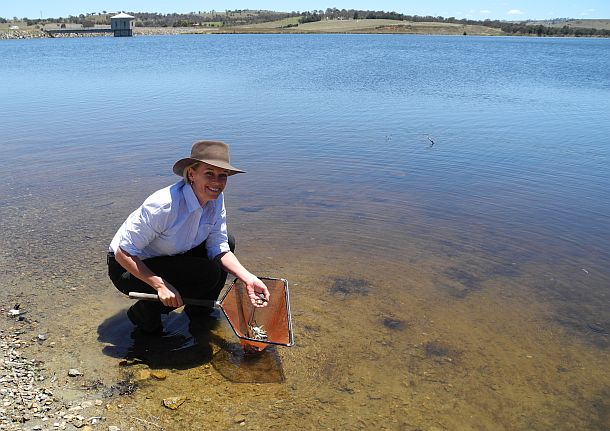Minister stocks Pejar trout - Fishing World Australia