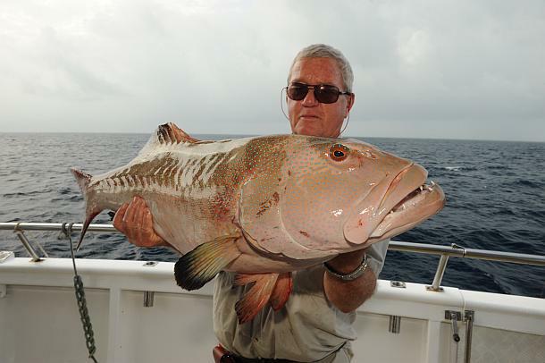 The Royal Treatment: Coral Sea - Fishing World Australia