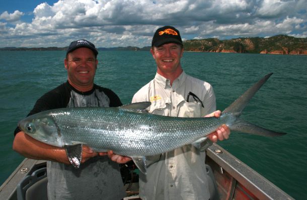 Fish Facts: Milkfish - Fishing World Australia