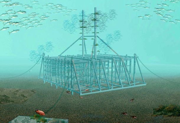 Artificial reef draws big crowds - Fishing World Australia