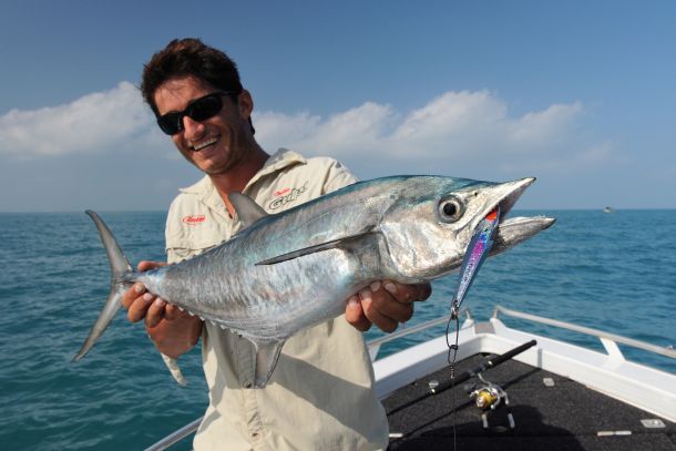 Fish Facts: Grey mackerel - Fishing World Australia