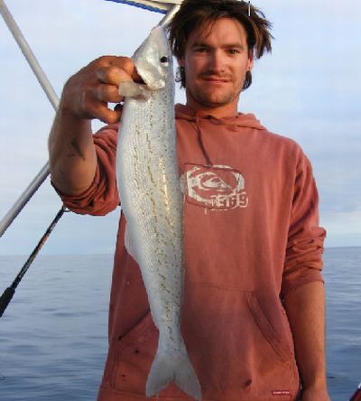 New limits for KG whiting - Fishing World Australia