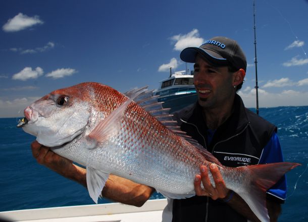 Opinion: Recs the losers in snapper management plan - Fishing World ...