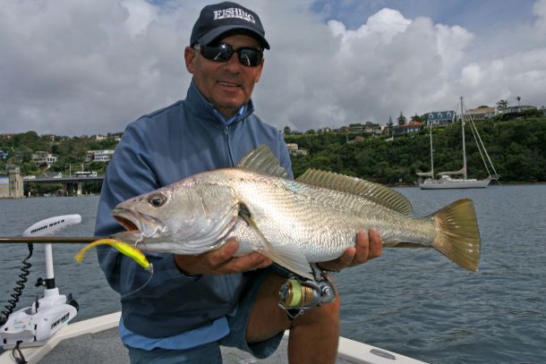 Plan to save jewie stocks - Fishing World Australia