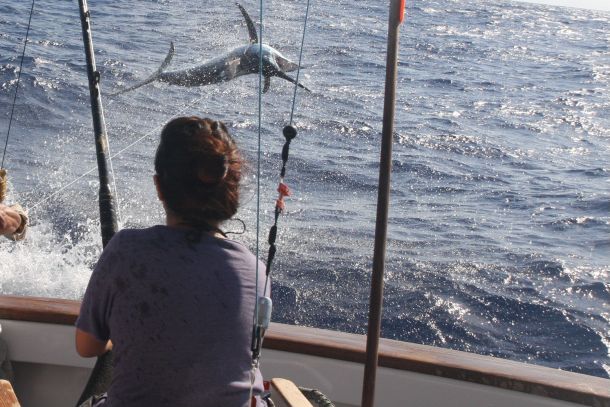 Report & Video: Marlin girls - Fishing World Australia