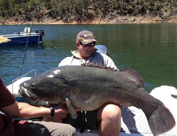 Monster Murray cod! - Fishing World Australia