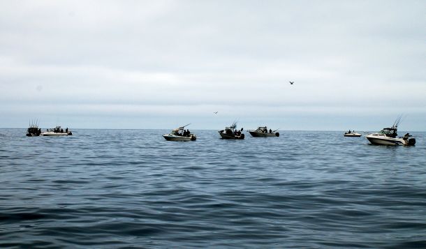 SA snapper season opener a fizzer - Fishing World Australia
