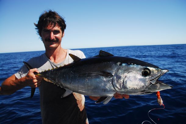 SA's bumper bluefin season - Fishing World Australia