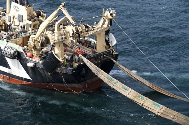 Super Trawler saga continues - Fishing World Australia