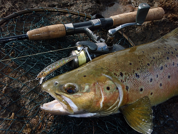 TESTED: Rapala Max Rap 5 & 7 - Fishing World Australia