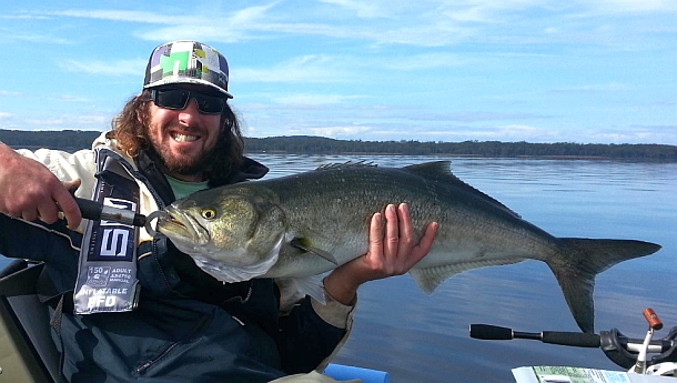 Monster Basin tailor - Fishing World Australia