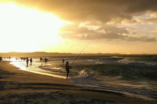 Beach fishers asked to contribute to tailor survey - Fishing World ...