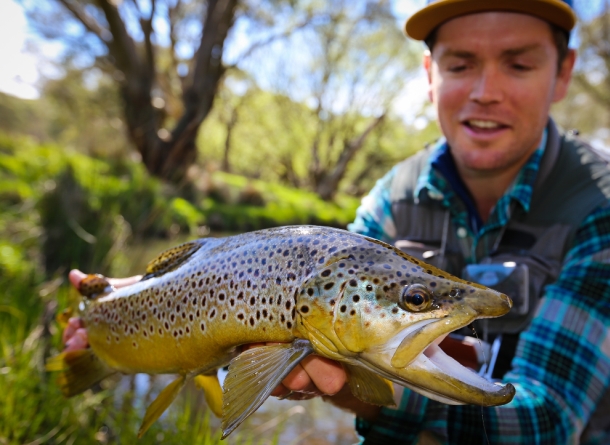 Report: Trout season opening - Fishing World Australia