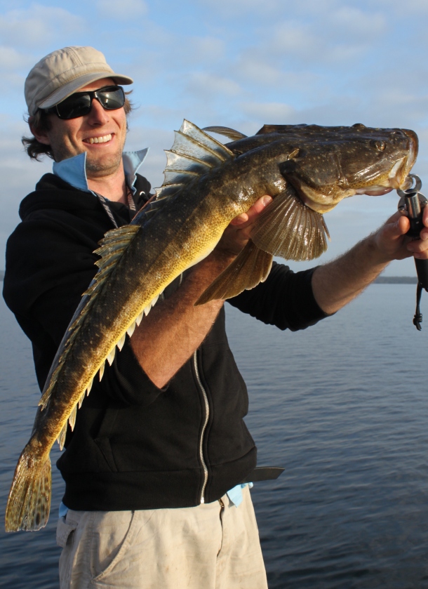 More monster flatties! - Fishing World Australia