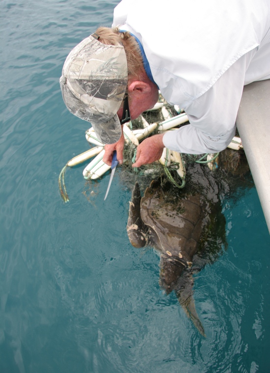 Curse of the Gill Nets - Fishing World Australia