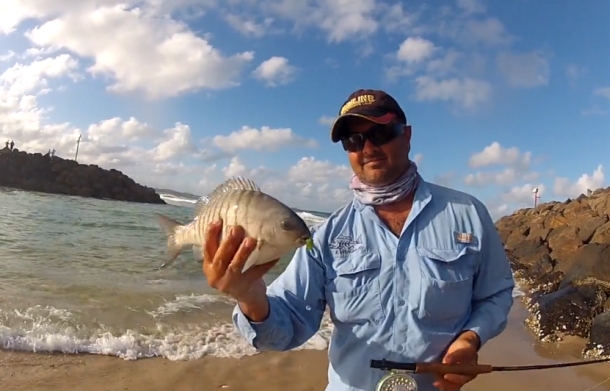 VIDEO: Blackfish on the fly - Fishing World Australia