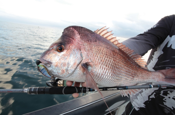 Samurai launches Kestrel range - Fishing World Australia