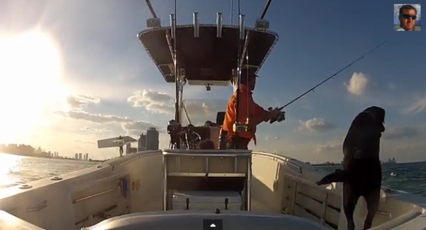 VIDEO: Dog overboard! - Fishing World Australia