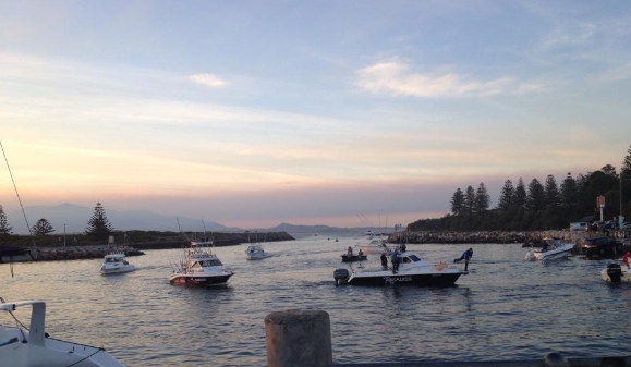Yellowfin draw crowd to Bermagui - Fishing World Australia