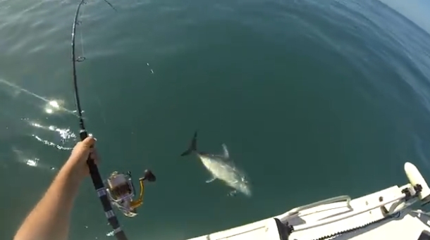 VIDEO: GT popping with Red Bull - Fishing World Australia