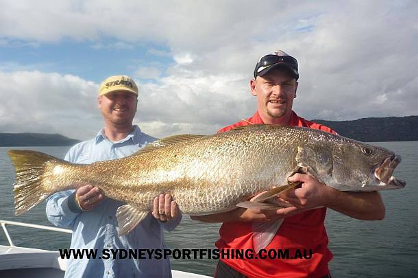 Report: Jewfish tagging update - Fishing World Australia
