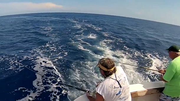 Video: Fly fishing for blue marlin - Fishing World Australia