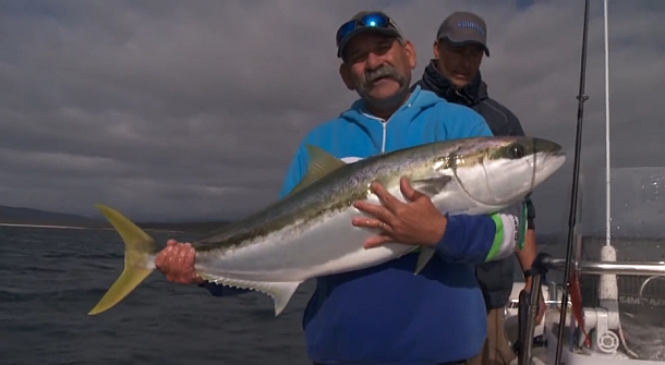 Video: How to catch kingfish - Fishing World Australia
