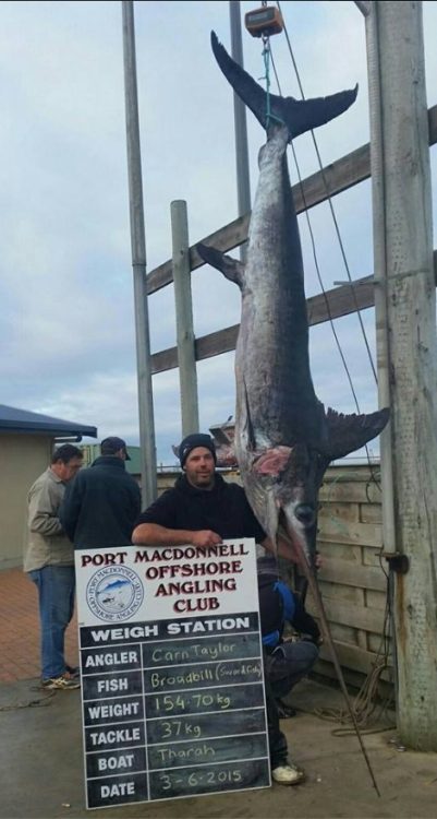 Game angler lands first ever SA broadbill - Fishing World Australia