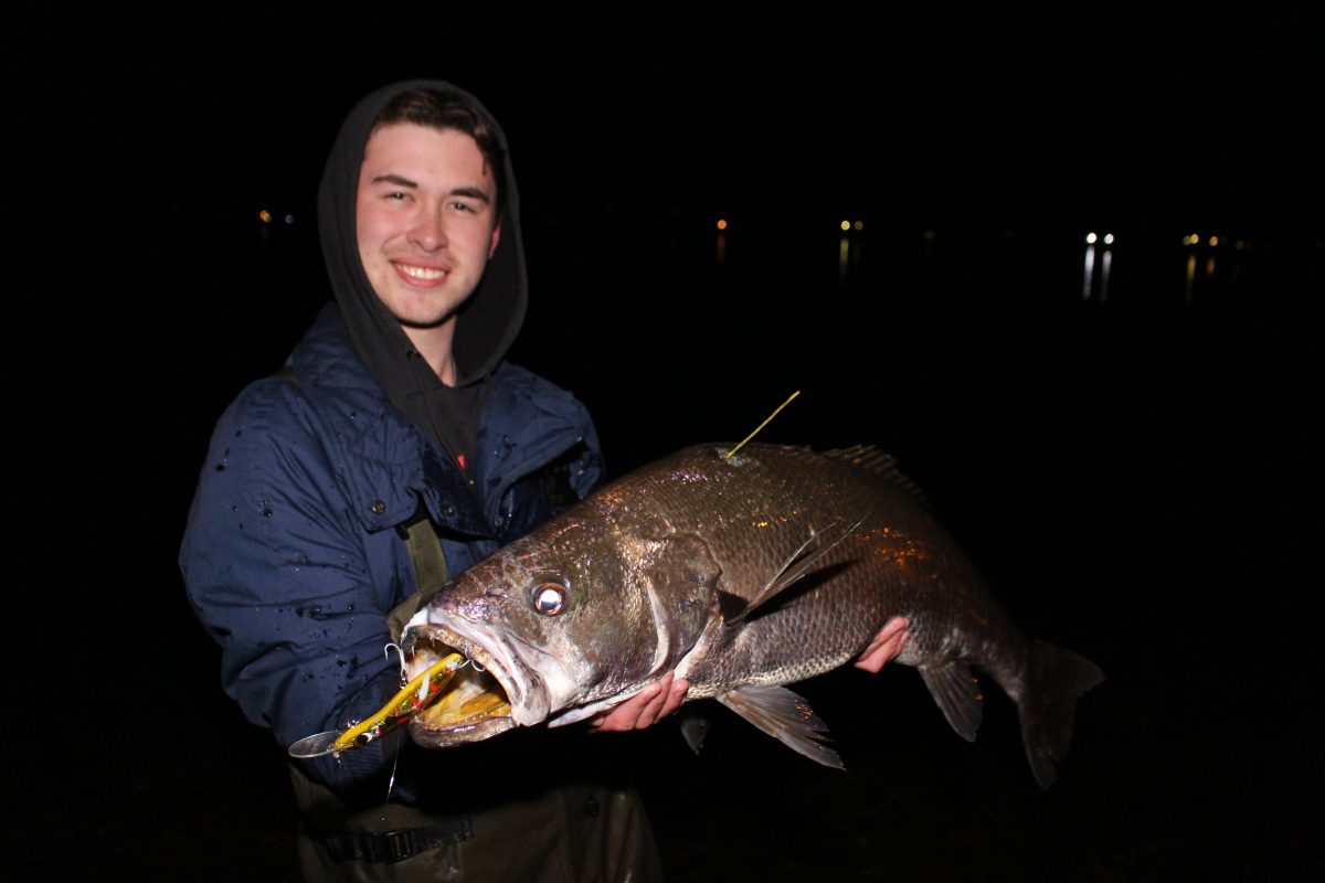 NSW Research Angler Program expansion - Fishing World Australia