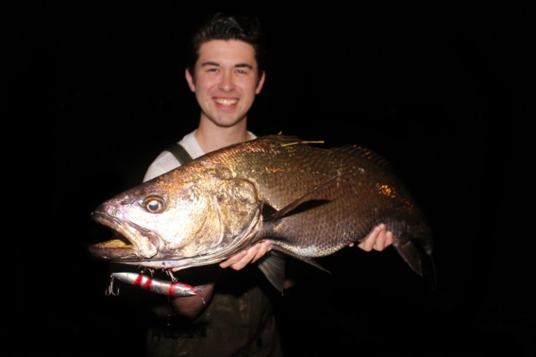 Mulloway - creatures of habit - Fishing World Australia