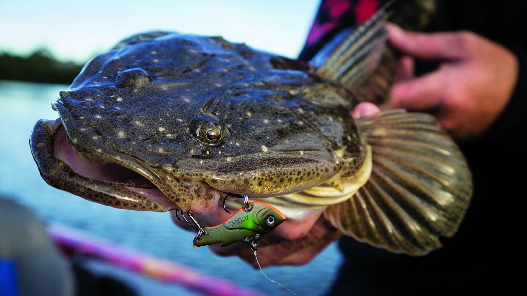 Fishing blades on the Parramatta River - Fishing World Australia