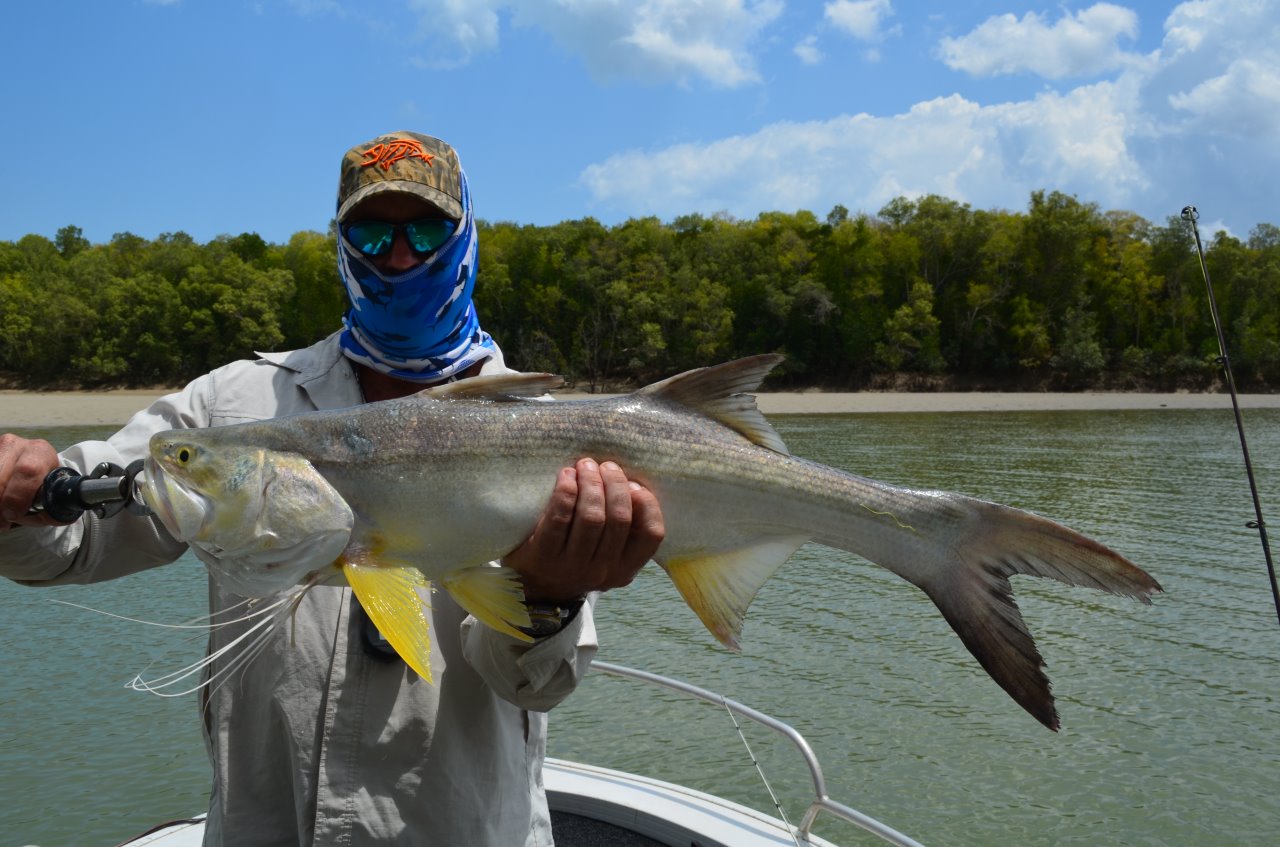 Fishing report: the Darwin Build-up - Fishing World Australia