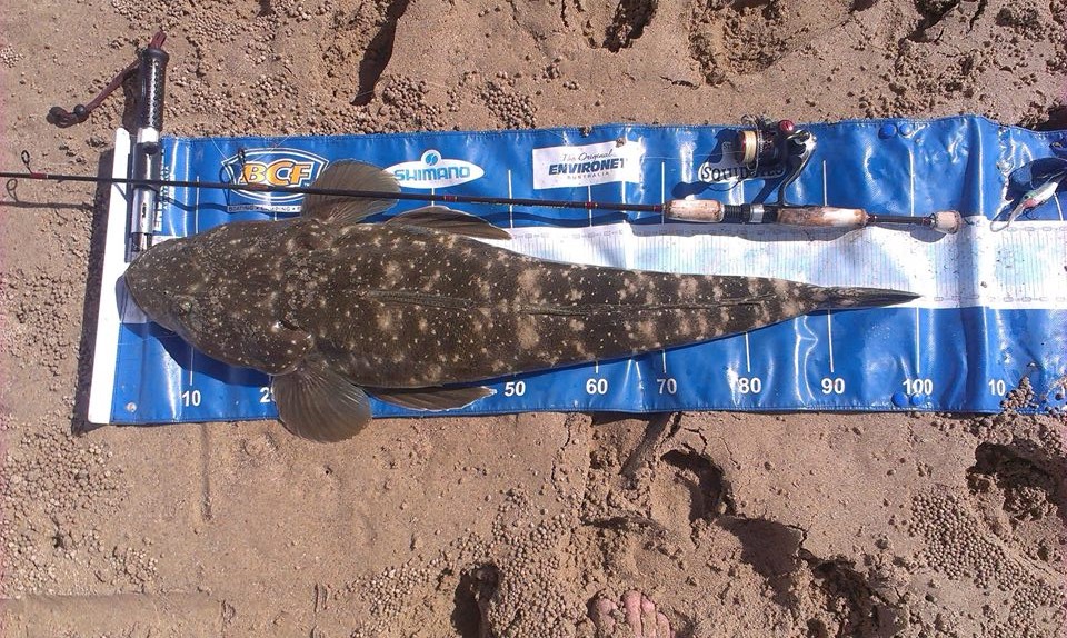 Lake Macquarie metre flathead - Fishing World Australia