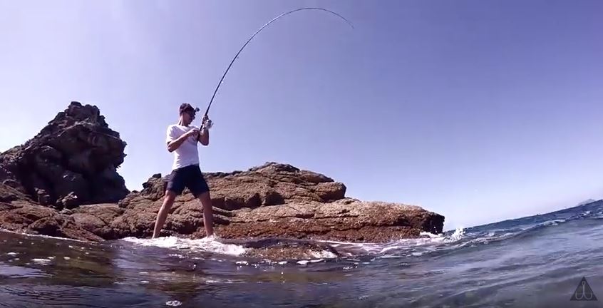 Video: Change our direction - Fishing World Australia