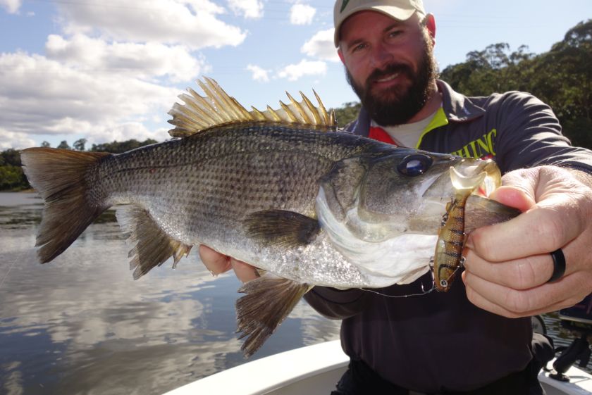 REVIEW: Samaki Vibelicious - Fishing World Australia