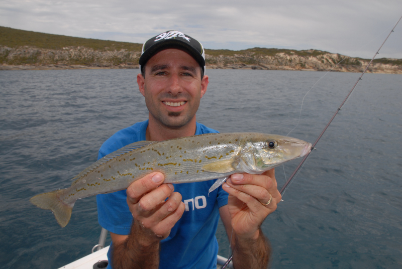 Proposed regulation changes to key SA recreational species - Fishing ...