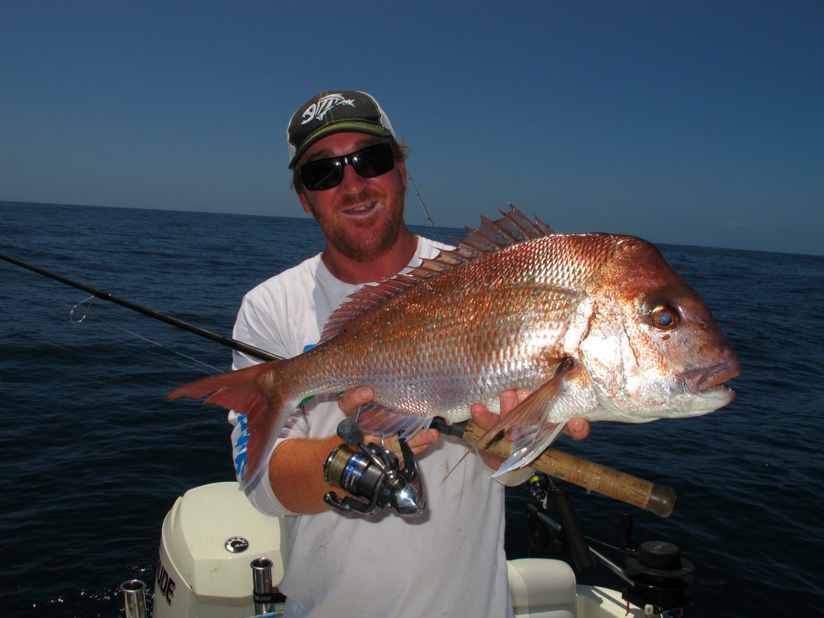 Shimano sweeps awards at 2016 AFTA Tackle Show - Fishing World Australia