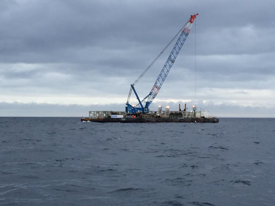 VIDEO: Mandurah reef module deployment - Fishing World Australia