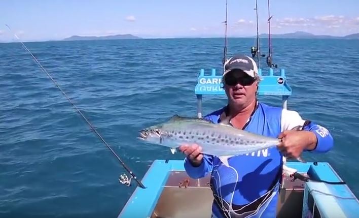 VIDEO: Jigging for mackerel using metal lures - Fishing World Australia